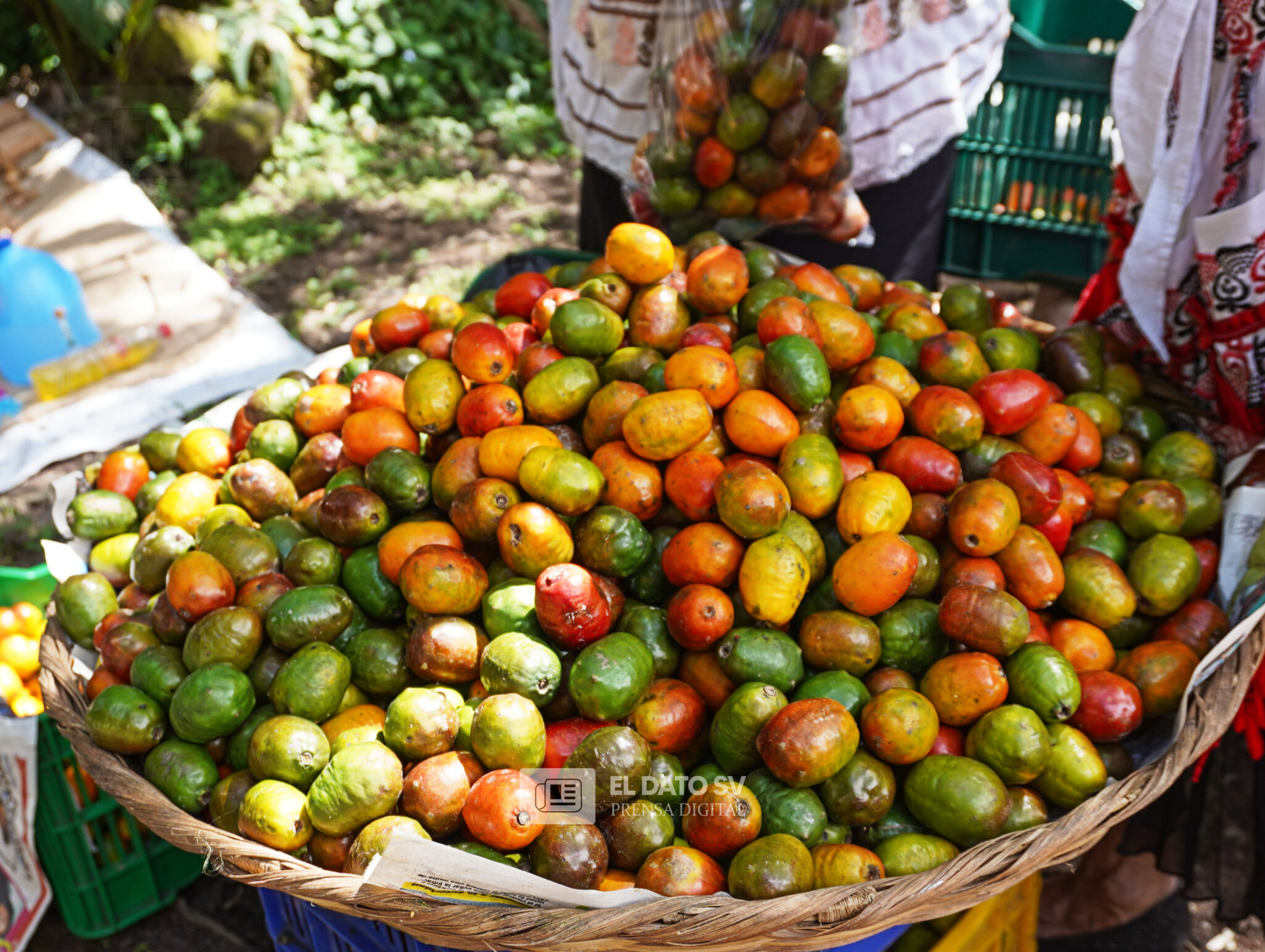 Ya hay fecha para el Festival del Jocote de Corona 2023
